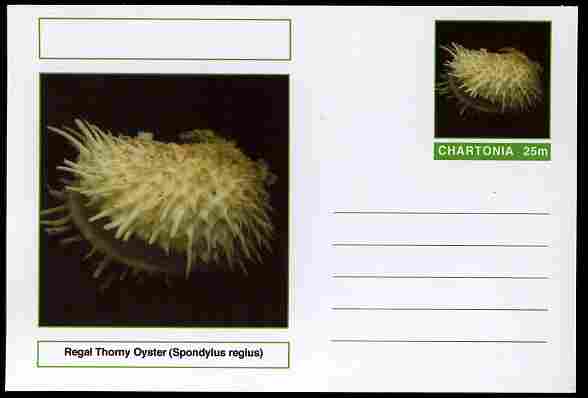 Chartonia (Fantasy) Shells - Regal Thorny Oyster (Spondylus regius) po ...